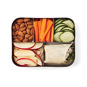 Bits Kits Stainless Steel Bento Box Lunch and Snack Container for Kids and Adults, 5 Sections