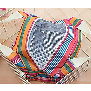 Lunch Bag Lunch Organizer for office Lunch Cooler with Zip Closure Foldable Lunch Tote Bag, Reusable Lunch Holder Insulated Lunch Container Picnic Bag for Men Women