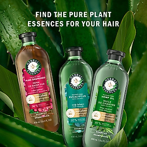 Herbal Essences Bio: Renew Potent Aloe + Eucalyptus Conditioner Scalp Balance, 13.5 Fl Oz, 5.523 Fl Oz