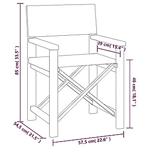 vidaXL Director's Chairs 2 Pcs, Foldable Director's Chair with Fabric Seat Cover, Folding Camping Chair for Outdoor Lawn, Solid Wood Teak Red