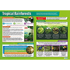 Daydream Education Tropical Rainforests | Geography Posters | Laminated Gloss Paper measuring 33” x 23.5” | Geography Classroom Posters | Education Charts