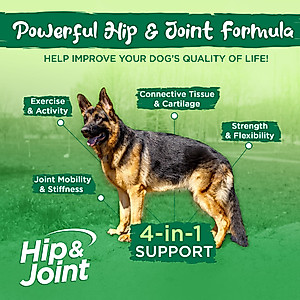 Vital Planet - Hip and Joint Support Powder Supplement for Dogs, with Glucosamine, Turmeric, Boswellia, MSM, and Collagen from Green-Lipped Mussel - Beef Flavored Powder, 60 Scoops, 111 Grams