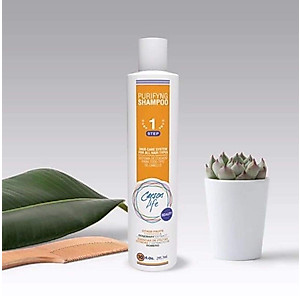 Carson Life Purifying Shampoo 2 Pack For All Hair Types - 20 Oz - Made with Fruits and Herbs Extracts - Energize and Stimulate hair - Helps Prevent Hair Loss and Dandruff - Made In The USA