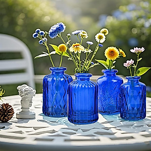 ELEGANTTIME Cobalt Blue Glass Bud Vase Small Flower Vase Mini Bottle with Cork Wire Handle Design for Deco Cafes, Office Table, Home and Garden(Set 5)