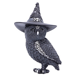Nemesis Now Cult Cuties Adorable Occult Figurines, Bewitching Evil Spirit Creatures, Hand-Painted, Resin - Owlocen