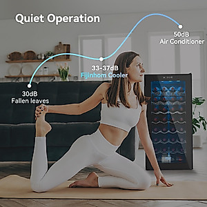 Fijinhom 32 Bottle Wine Cooler, Black, Thermoelectric Wine Fridge, 2.75 cu. ft. (78L), Freestanding Wine Cellar, Red Wine Storage for Small Kitchen, Apartment, Condo, RV