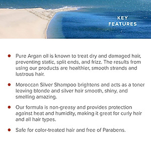 Royal Moroccan BEST SILVER SHAMPOO 300 ml /10.05 fl.oz | Purple Shampoo for Blond Hair & Grey Hair|Lights Shampoo for Blond & Silver Hair |Anti-Yellow Shampoo | Paraben-Free Argan Oil Hair Products