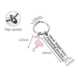 Motivational Flamingo Keychain Never Forget How Flamazing You are Keychain Flamingo Lover Jewelry Gift for Family BFF Animal Lovers