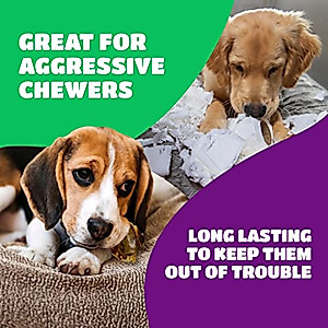Lively Tails Dog Bones for Aggressive Chewers, Knee Caps for Dogs, Dog Bones for Large Dogs, Dog Bones for Medium Dogs and Small Dogs, Beef Bones for Dogs Long Lasting, Knee Bones for Dogs, 10 Count