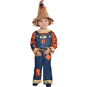 Tiny Scarecrow Costume Kit - Baby 12-24 Months, Multicolor - 1 Set