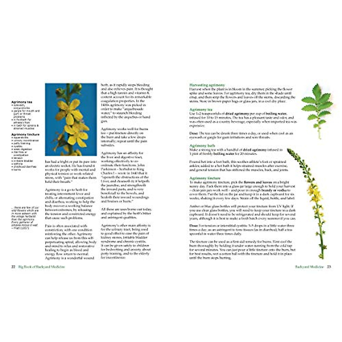 The Big Book of Backyard Medicine: The Ultimate Guide to Home-Grown Herbal Remedies