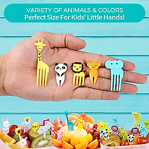 FATLODA Food Picks for Kids, 80PCS Kids Food Picks, Animal Toddler Food Picks, Reusable Kids Lunch Accessories for Bento Box, Cute Kids Toothpicks For Lunch Picks, Fun Fruit Picks Forks
