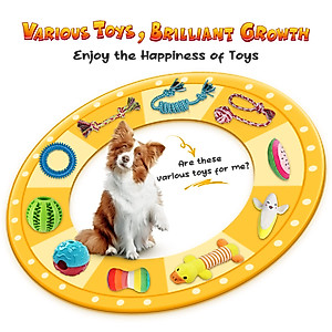 KIPRITII Luxury Puppy Chew Toys - 20 Pack With Rope, Squeaky, and Bite Toys for Teething Small Dogs