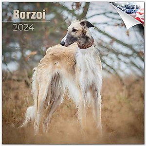 2023 2024 Borzoi Calendar - Dog Breed Monthly Wall Calendar - 12 x 24 Open - Thick No-Bleed Paper - Giftable - Academic Teacher's Planner Calendar Organizing & Planning - Made in USA