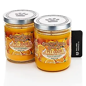 Pet Odor Exterminator Scented Candle Orange Lemon Splash - Pack of 2 - Odor Eliminating Candle Bundle with Ballard Products Car Air Freshener