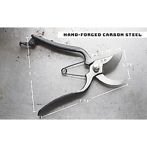 Skyhaven Harvest Bypass Pruning Shears 8 Inch Japanese-style Forged Carbon Steel Garden Scissors, Gardening Tools Hand Pruner with Ergonomic Handle.