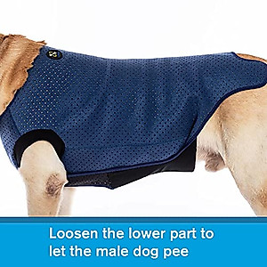 COODEO Dog Surgery Recovery Suit, Waterproof Recovery Suit for Dogs, Surgery Suit for Wounds Protect, Cone Alternative After Surgery, Dog Onesie for Surgery Female or Male (Blue, 2XL)
