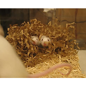 ECO Bedding Fibercore, 1.5 lb Brown