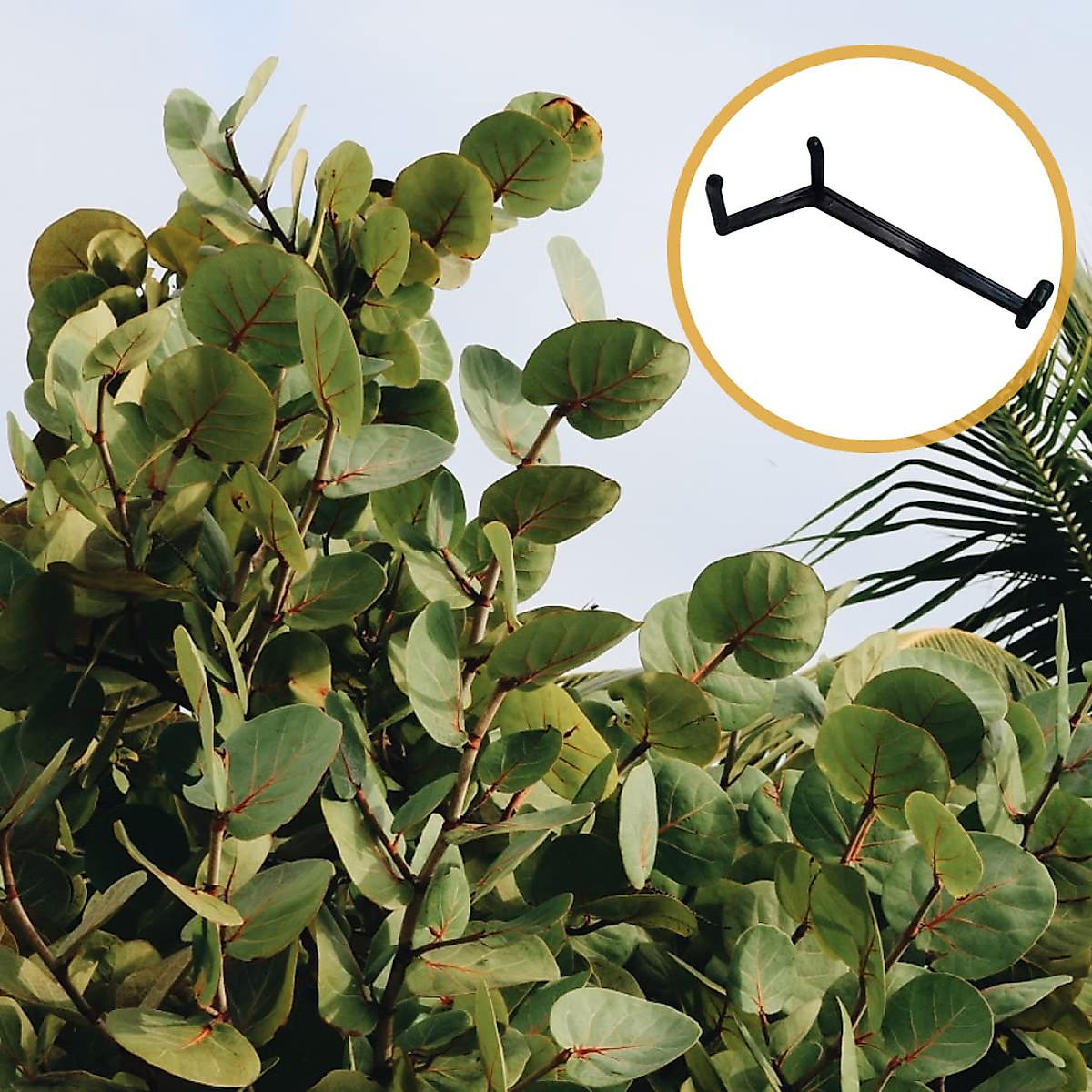 Happyyami 30 Pcs Branch Press Bendersbonsai Plants Tools Trees Branch Trainer Plant Branches Benders Tree Branch Adjusting Clips Reusable Plants Clips Tree Sealer Adjustable or Plant Stand