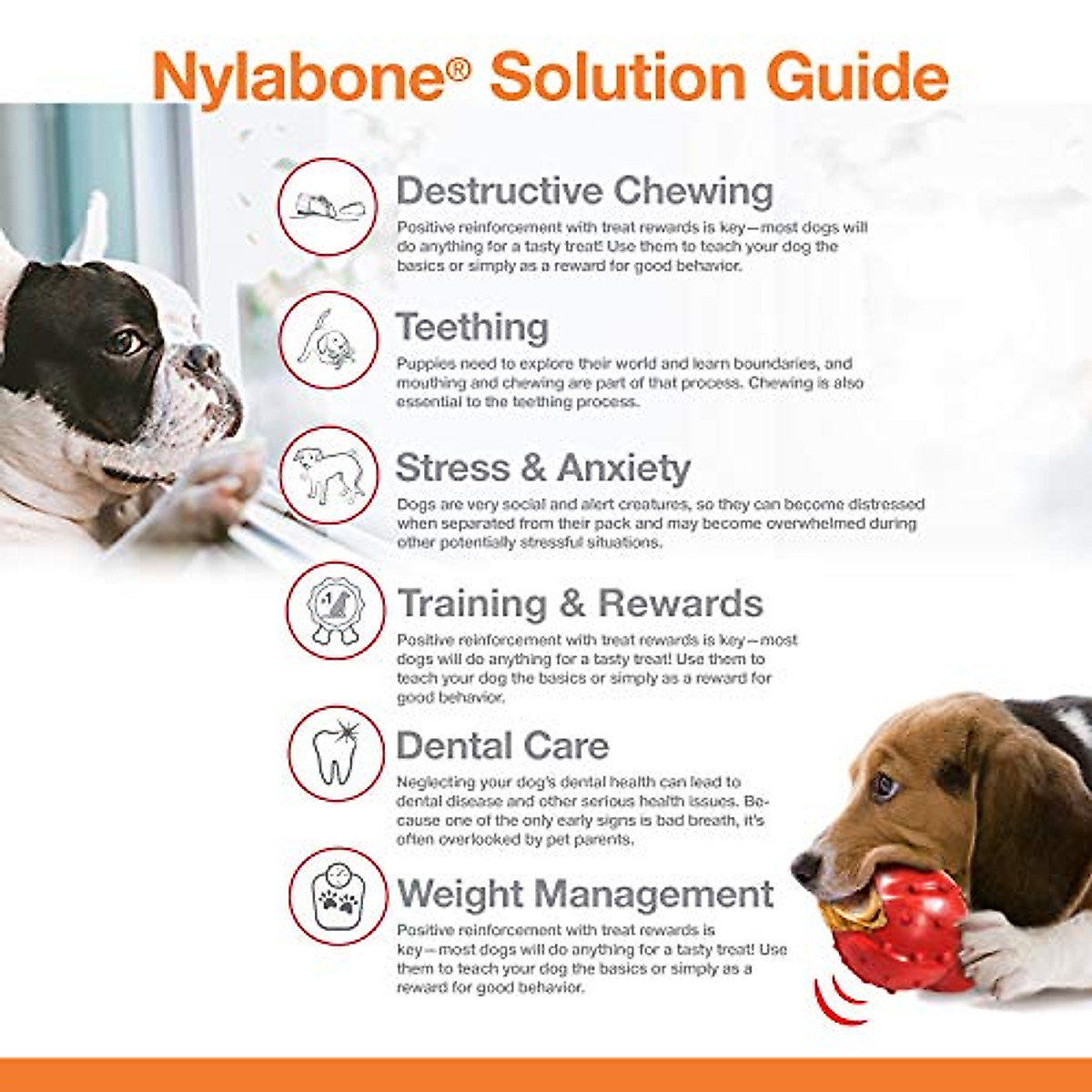 Nylabone Power Chew Flavor Frenzy Durable Dog Chew Toys Twin Pack Bacon Cheeseburger & Apple Pie Small/Regular (2 Count)