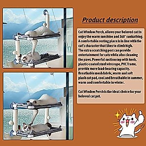HOZOE Cat Window Perch, A Large Double-Layer Cat Hammock That Can Accommodate Multiple Cats at The Same Time, with Two Scratching Posts, Indoor Cat Ledge and Cat Bed Frame, Which Can Bear 50 Pounds…
