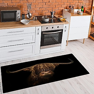 TsyTma Scottish Highland Cattle Kitchen Rugs Non-Slip Soft Kitchen Mats Wild Animal Cow Bath Rug Kitchen Runner Rug Doormats Carpet for Home Decor 20" X 39"