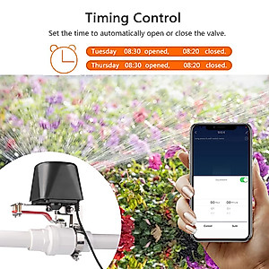 EVERSECU Tuya Smart WiFi & Bluetooth Smart Water Valve, Shutoff WiFi Control Water Valve Compatible with Alexa, Google and Application Program iOS/Android