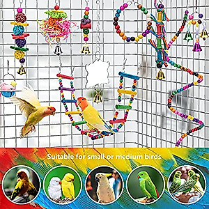 EBaokuup 10 Packs Bird Swing Chewing Toys- Parrot Hammock Bell Toys Parrot Cage Toy Bird Perch with Wood Beads Hanging for Small Parakeets, Cockatiels, Conures, Finches,Budgie,Parrots, Love Birds
