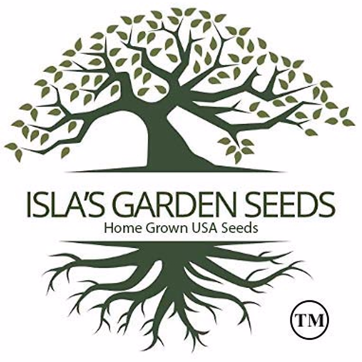 Hanson Improved Crisphead Lettuce Seeds for Planting, 1000+ Heirloom Seeds Per Packet, Non GMO Seeds, Botanical Name: Lactuca Sativa, Great Home Garden Gift