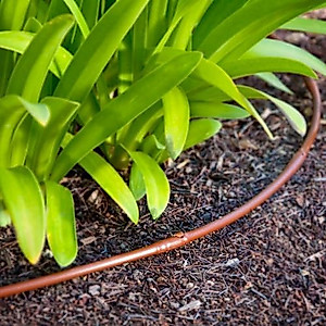 DIG ML-112B ¼” 100’ MICROLINE™ Dripline, 12” Dual Outlet Emitter Spacing, UV-Resistant Tubing for Efficient Irrigation | Ideal for Raised Beds | Flexible, Durable, Easy Installation (Brown)