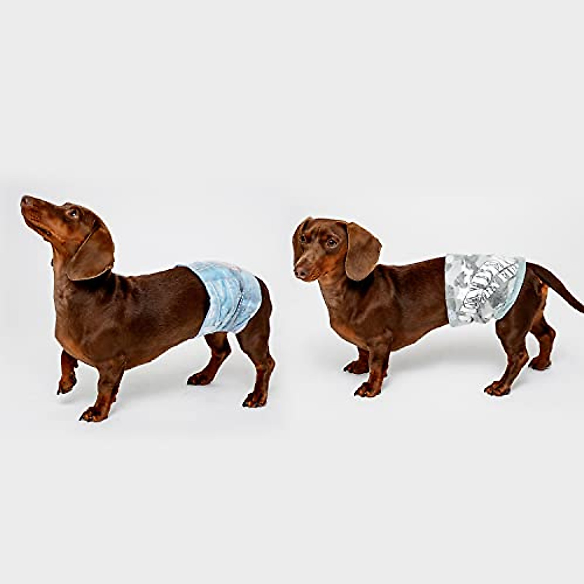Disposable Male Dog Wraps with FlashDry Gel Technology, S 40 count