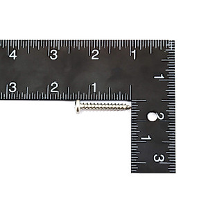 80 Piece Truss Head Screw Set for Dock Bumper Installation Marine Grade Stainless Steel 10 x 1-1/4 Inches SS