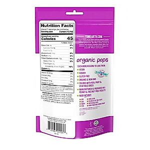 YUMMYEARTH LOLLI POP VTMN C STND UP PCH 3OZ