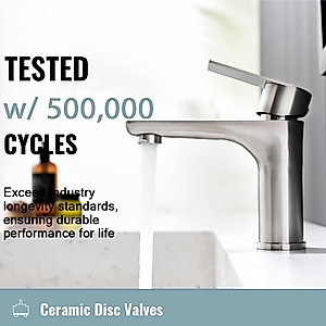 Single Hole Bathroom Faucet, Stainless Steel Bathroom Faucets, Brushed Nickel Commercial Bathroom Sink Faucet,Single Handle Bathroom Sink Faucet with Supply Lines, BF019L