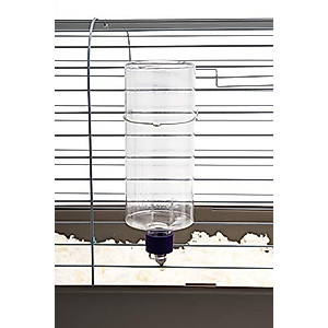 Lixit Standard Cage Water Bottles for Rabbits, Ferrets, Guinea Pigs, Hamsters, Rats, Mice and Other Small Animal's (32 Ounce, Clear)
