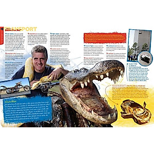 Ripley's Believe It Or Not! Strikingly True (8) (ANNUAL)