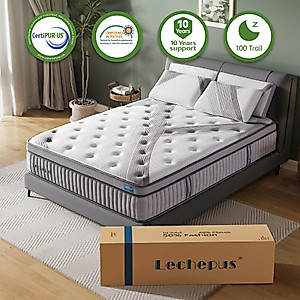 Lechepus King Mattress,14Inch Memory Foam Hybrid Mattress with 7-Zone Pocket Spring,King Size Mattress in Box, Medium Plush Mattress for Back Pain Relief,Motion Isolation,CertiPUR-US