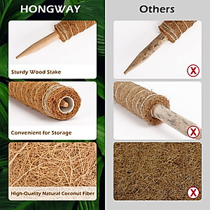 HongWay 77 Inch Moss Pole for Plant Monstera, 6 Pack 17 Inch Moss Plant Support, Monstera Support, Plant Climbing Pole, Moss Plant Stake