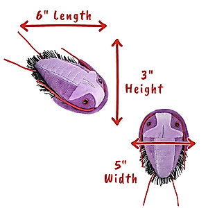 GIANT MICROBES Fuzzy Fossils Trilobite Plush - Learn About Fossils and Prehistoric Creatures, Unique Gift for Family, Friends, Scientists, Nature Lovers and Dinosaur Fans