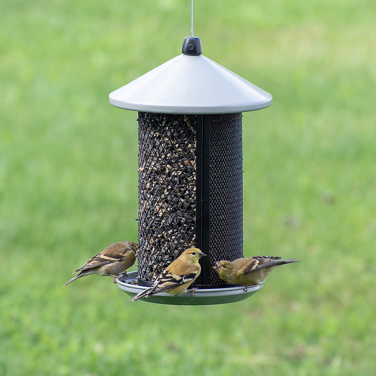 Perky Pet TSS00349 Dual Mesh Wild Bird Seed Feeder