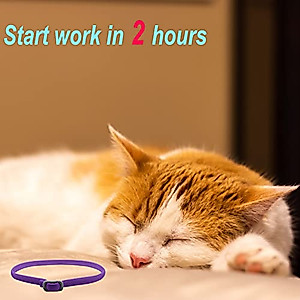 Pets4Luv Calming Collar for Cats - Pheromone Calm Collars, Anxiety Relief Fits Small Medium and Large Cat - New Version - Adjustable and Waterproof with 100% Natural 2 Pack