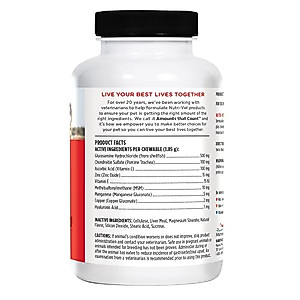 Nutri-Vet Hip & Joint Chewable Dog Supplements - Formulated with Glucosamine & Chondroitin for Dogs - 180 Count