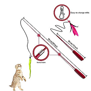 Interactive Cat Toys for Indoor Cats,Retractable Cat Toy Wand,12 Packs Cat Feather Toys and Replacement, 9 Assorted cat Teaser Refills with Bell for Cat Kitten, Cat Fishing Pole Toys for Cat Kitten