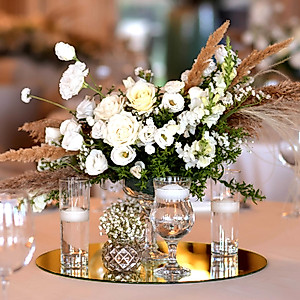 Thyle 12 Pcs 10 Inch Acrylic Round Mirrors for Tables Centerpieces Circle Mirrors Candle Plates for Wall Wedding Table Centerpieces Round Mirror Tray for Baby Shower Party, Thickness 1 mm (Gold)