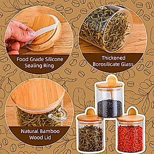 howbonwe Set of 3 Glass Food Storage Containers with Airtight Bamboo Lids and Bamboo Spoons, 15oz Clear Borosilicate Glass Containers Kitchen Organization Jars for Candy, Cookie, Nuts, Tea, Spice