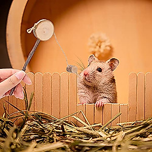 DAMPET Hamster Chew Toys, Hamster Activity Toys, Gerbil Rat Guinea Pig Chinchilla Chew Toys, Toys Accessories for Teeth Care,Natural Apple Wood Toys for Hamster, Rabbits, Bunny, Gerbil (Style 3)