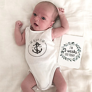 CoCreative Design Newborn Baby First Year Progress Report Cards (Set of 26) - Unique Shower Prop Gift with Cute Sayings and Floral Wreath Prints - Perfect for New Moms and Parents