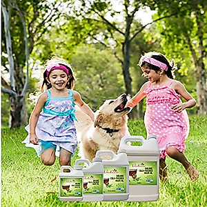 Verdana Organic Cold Pressed Neem Oil for Plants - 32 Fl. Oz - Non GMO - Unrefined, Filtered - High Azadirachtin - Pure Neem Oil, Nothing Added or Removed - Leafshine Spray, Pet Care, Skin & Hair Care