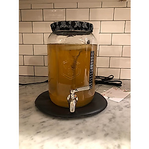 Brewing & Fermentation Heat Pad for Homebrew Beer & Wine Fermenting 120VAC 12 or 25 Watt Heating Mat: Safe for Plastic/Glass Carboy Fermentors w/Heater Temp Strips (10" - 12 Watts (Black))