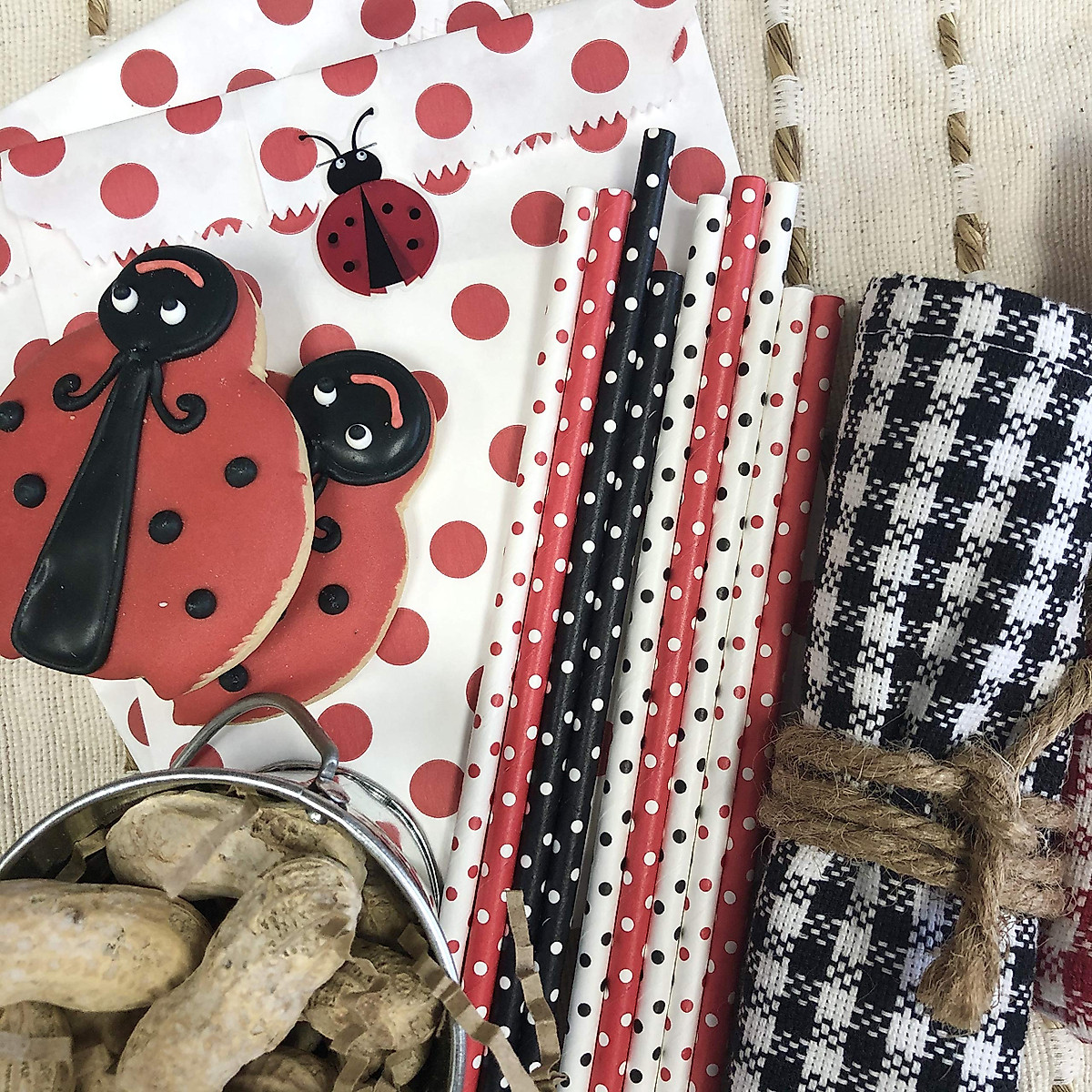 Paper Drinking Straws - Black Red and White Polka Dot - Ladybug Theme - 7.75 x .25 Inches - 100 Pack - Outside the Box Papers Brand